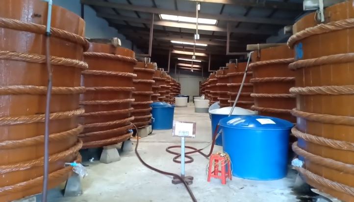 What exactly is Vietnamese Fish Sauce?