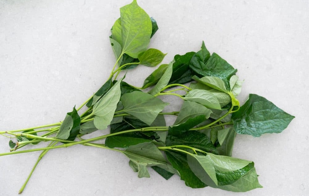 BO LA LOT RECIPE - VIETNAMESE GRILLED BEEF IN LOLOT LEAVES