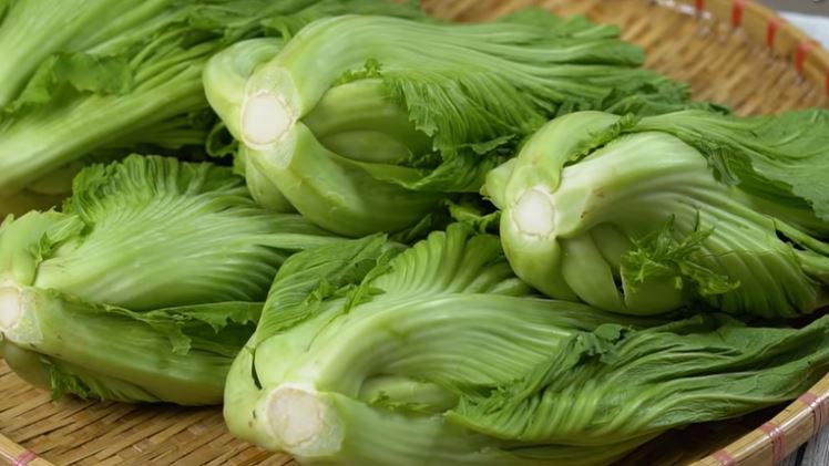 Dưa Chua recipe - Vietnamese Pickled Mustard Greens