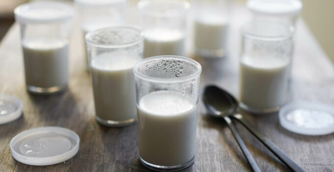 (Sữa Chua/Da Ua) Vietnamese Yogurt Recipe